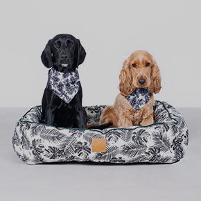 Customers | Indigo8 Solutions